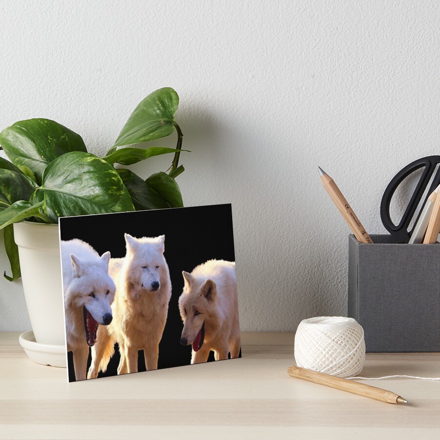 "Laughing wolves meme" Art Board Print by HangLooseDraft | Redbubble