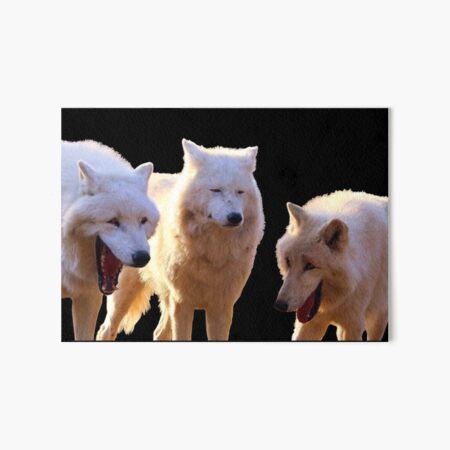 "Laughing wolves meme" Art Board Print by HangLooseDraft | Redbubble
