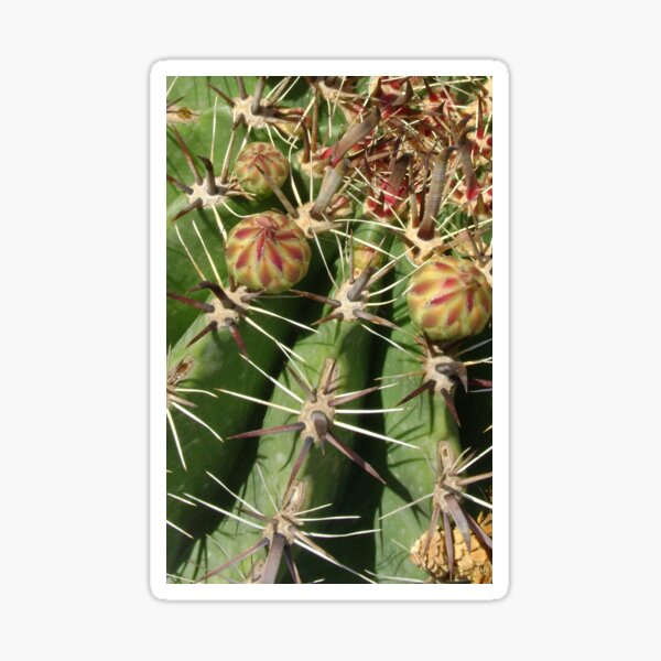 "Sharp " Sticker for Sale by sweetairhead | Redbubble