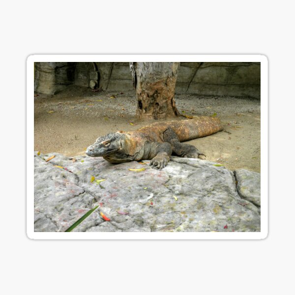 "Large Lizard" Sticker for Sale by eidann | Redbubble