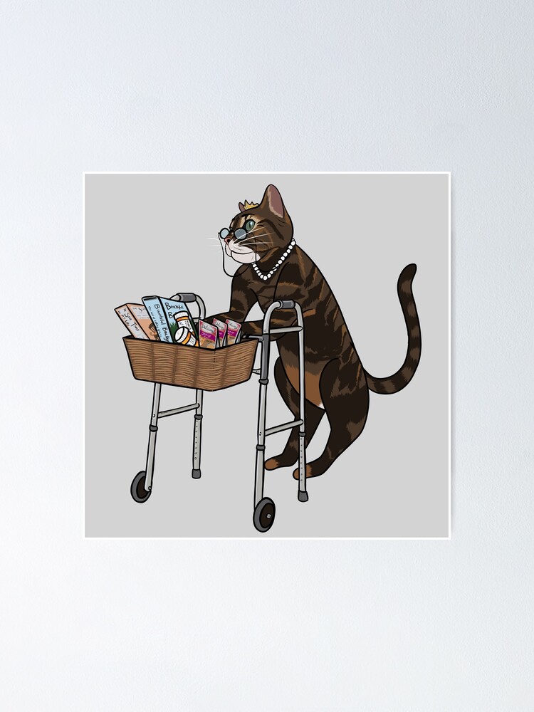 "Elderly Cat" Poster for Sale by mritt | Redbubble