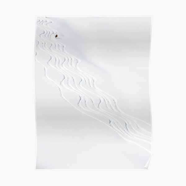 "Freshies" Poster for Sale by shenryo | Redbubble