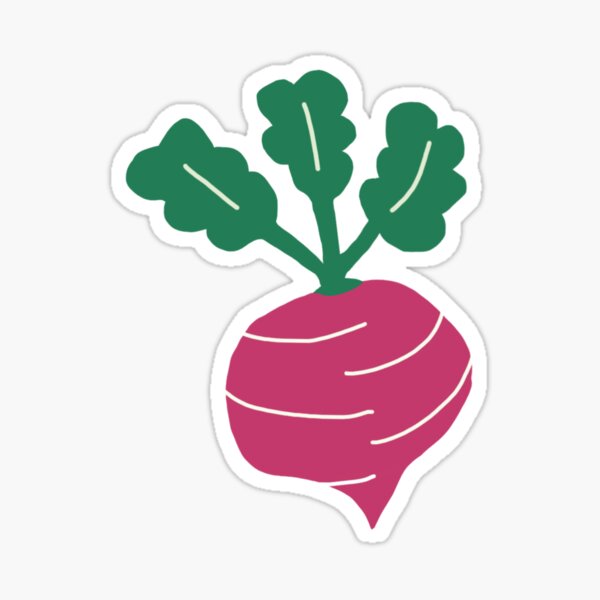 "Beet " Sticker by NdesIgNsA | Redbubble