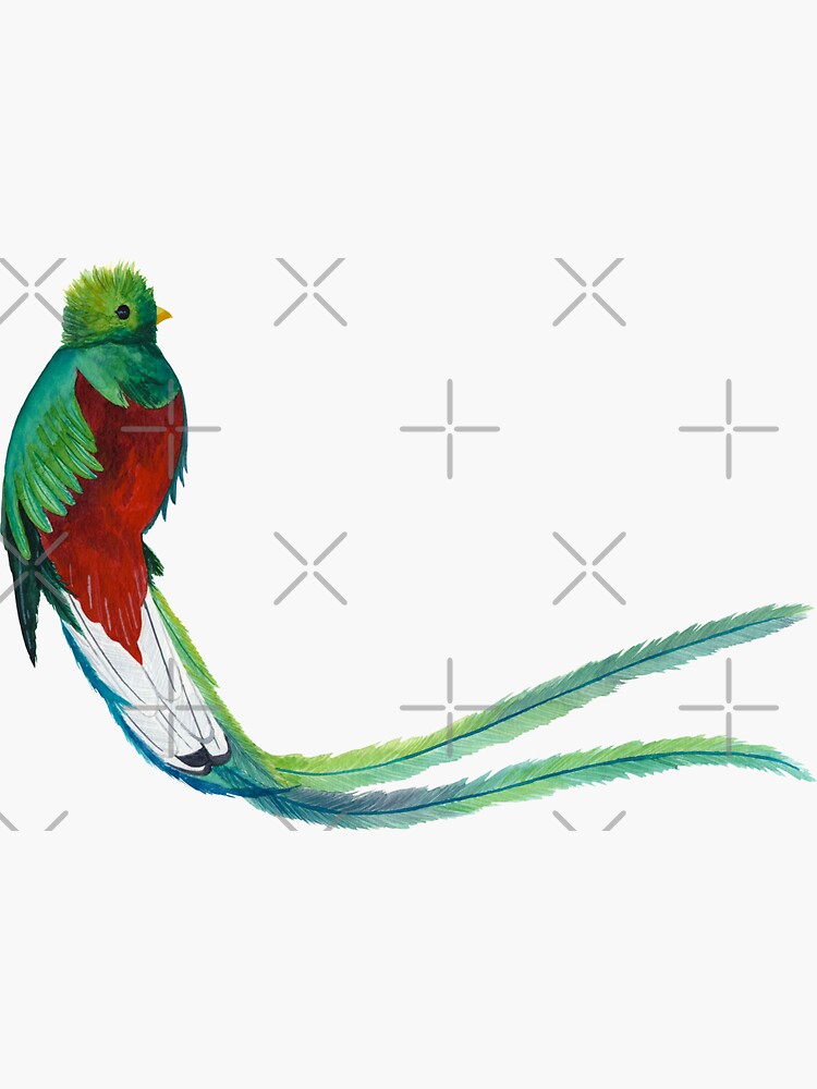 "QUETZAL" Sticker for Sale by bananaflamingo | Redbubble