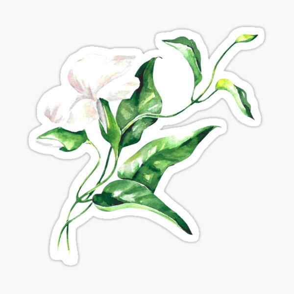"White blooming watercolor flower" Sticker for Sale by tet-er | Redbubble