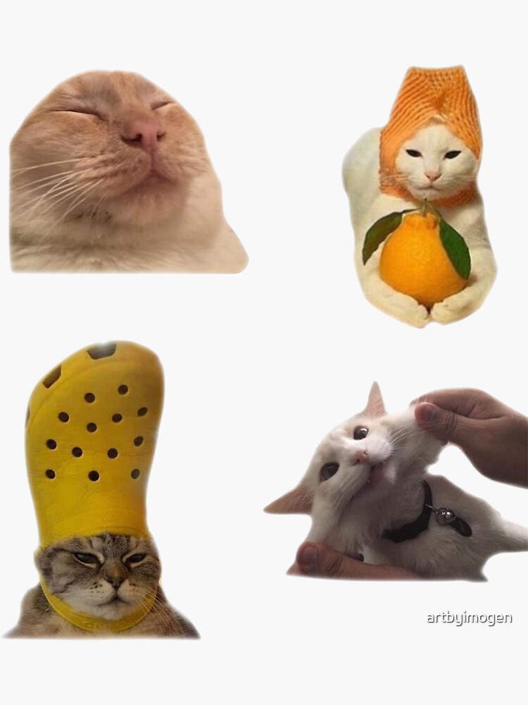 "Cat meme sticker pack " Sticker for Sale by artbyimogen | Redbubble