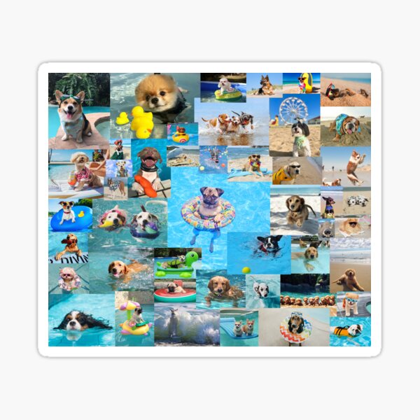 "Summer fun Dog collage" Sticker for Sale by Yviemakes | Redbubble