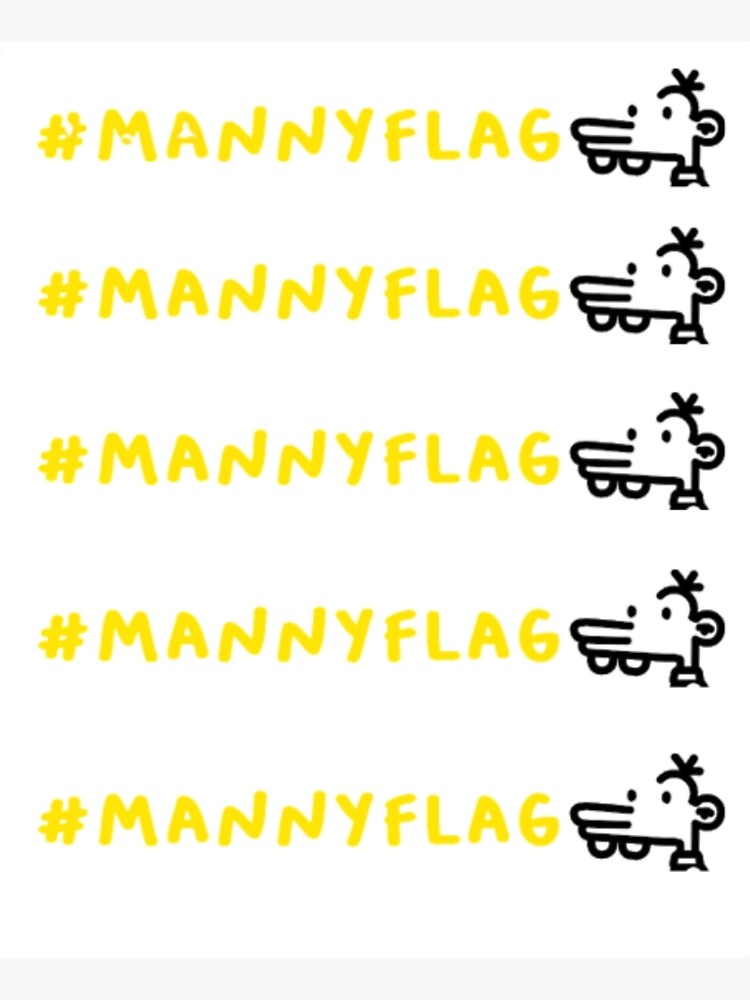 "Changing the American Flag Shirt - Generation Z - TikTok Shirt - Manny ...