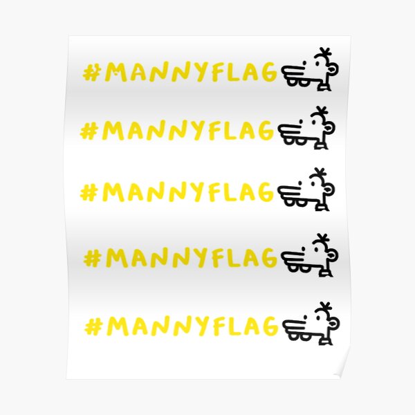 "Changing the American Flag Shirt - Generation Z - TikTok Shirt - Manny ...