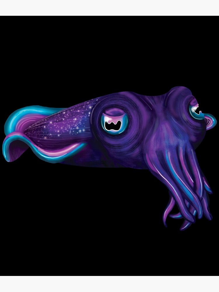 "Cuttlefish" Art Print for Sale by bslatecreations | Redbubble