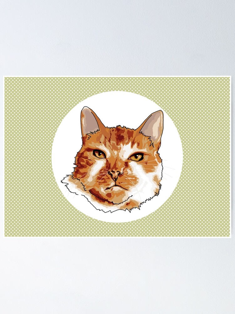 "Jaffa Cat Cartoon" Poster by DCdigitalart | Redbubble