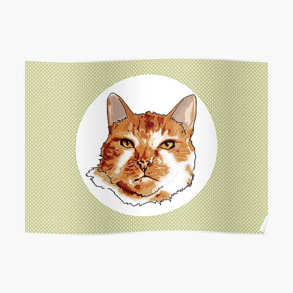 "Jaffa Cat Cartoon" Poster by DCdigitalart | Redbubble