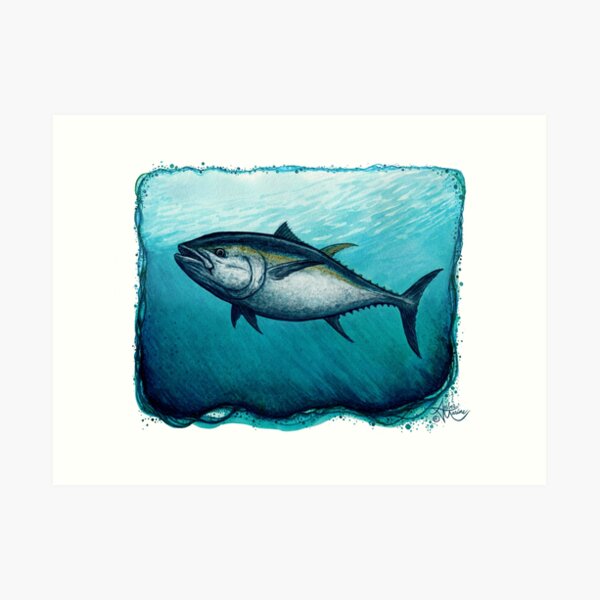 ""Bluefin Tuna" by Amber Marine ~ Watercolor painting, art © 2016" Art ...