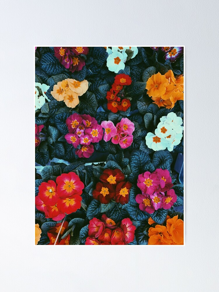 "ordinary flowers" Poster by ecederlund27 | Redbubble