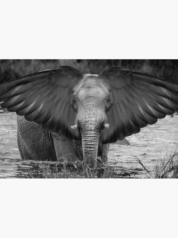"Angel Wing Elephant Art" Metal Print for Sale by greg3511 | Redbubble