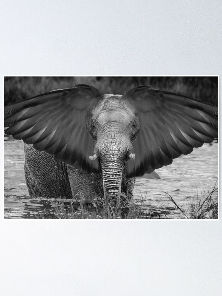 "Angel Wing Elephant Art" Poster for Sale by greg3511 | Redbubble