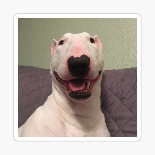 "HAPPY WALTER" Sticker for Sale by briannaholdaway | Redbubble