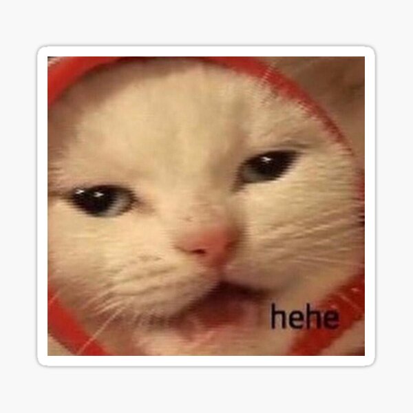 Pegatina «foto de reacción del gato jeje» de Zlittlemonster | Redbubble