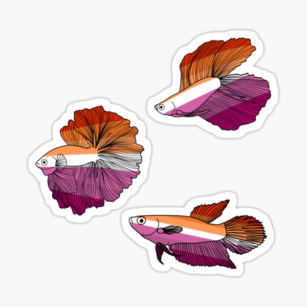"Lesbian Pride Betta Set" Sticker for Sale by GoldfishClub | Redbubble