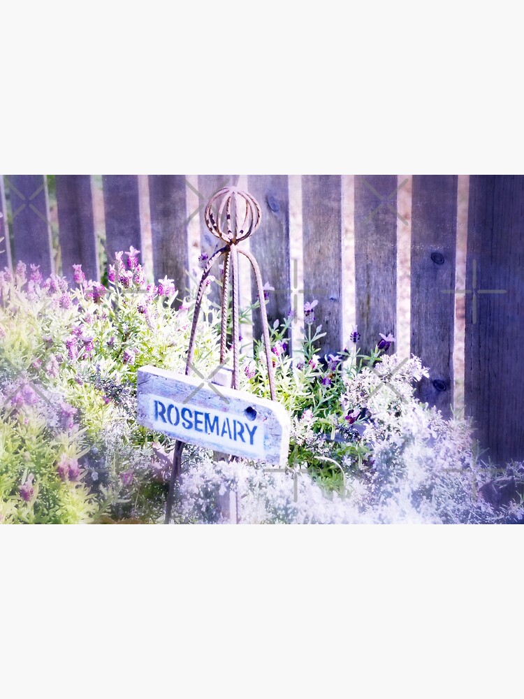 "Rosemary Garden Sign Lavender Plants" Poster for Sale by JimNEmDesigns ...