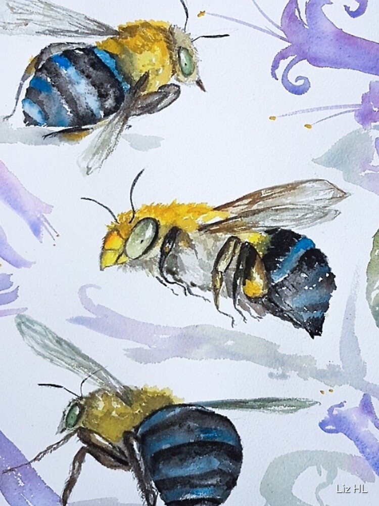 Australian Blue Banded Bees With Blue Salvias Graphic T Shirt Dress