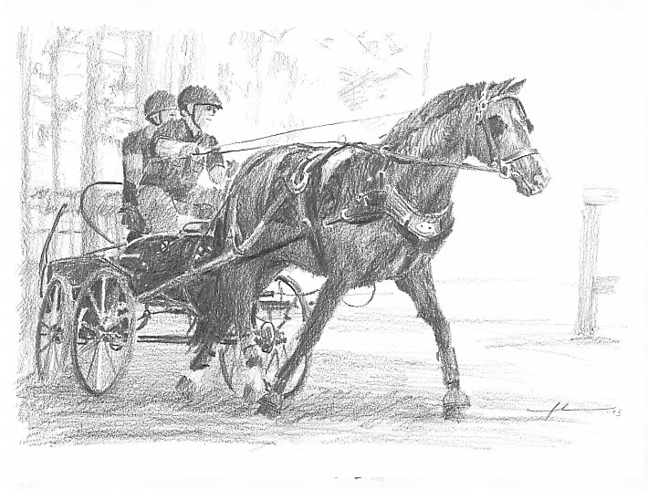 "Trotting horse drawing" by mike theuer | Redbubble