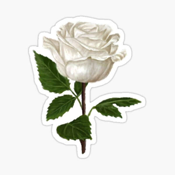 "White Rose" Sticker for Sale by asmallpotato | Redbubble