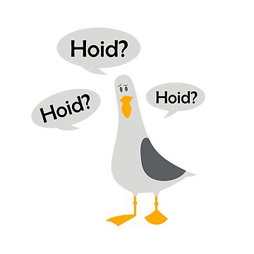 "Hoid?" Sticker for Sale by ModernMerida | Redbubble