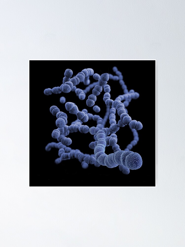 "Streptococcus" Poster by CreativeLabour | Redbubble