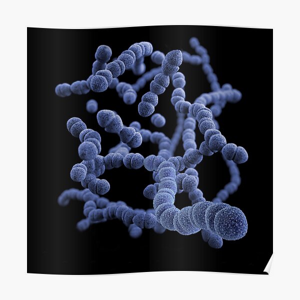 "Streptococcus" Poster by CreativeLabour | Redbubble