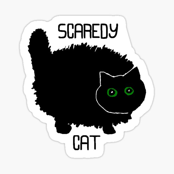Scaredy Cat Gifts & Merchandise | Redbubble