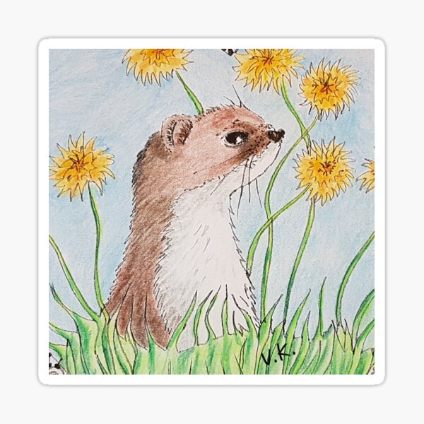 Weasel Stickers | Redbubble