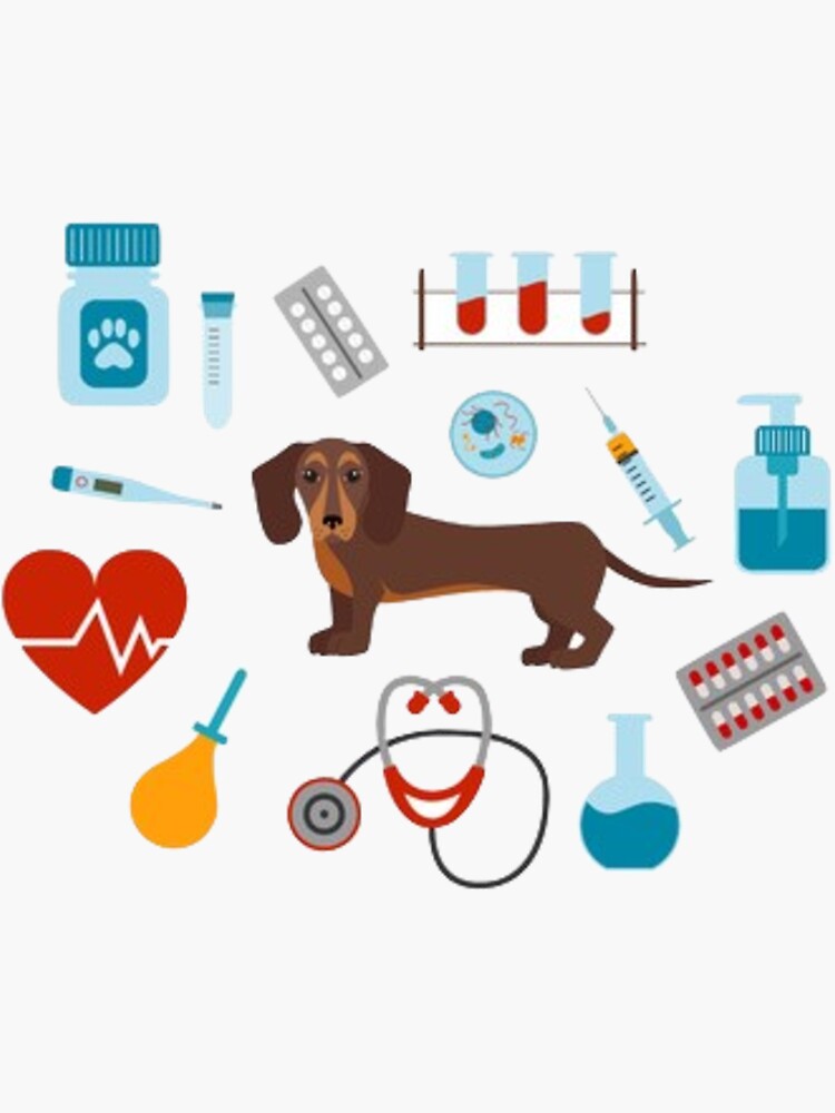 "Vet sticker pack" Sticker for Sale by aggpanda | Redbubble