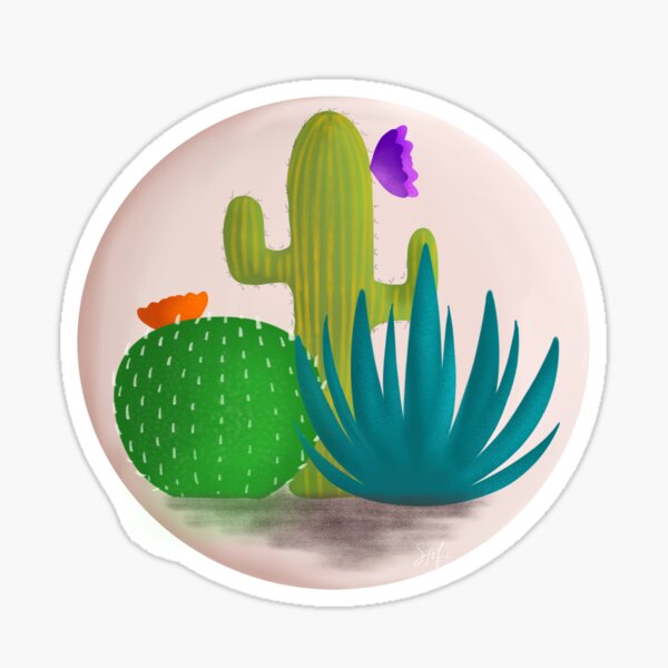 "Cactus Flowers" Sticker by studiolab | Redbubble