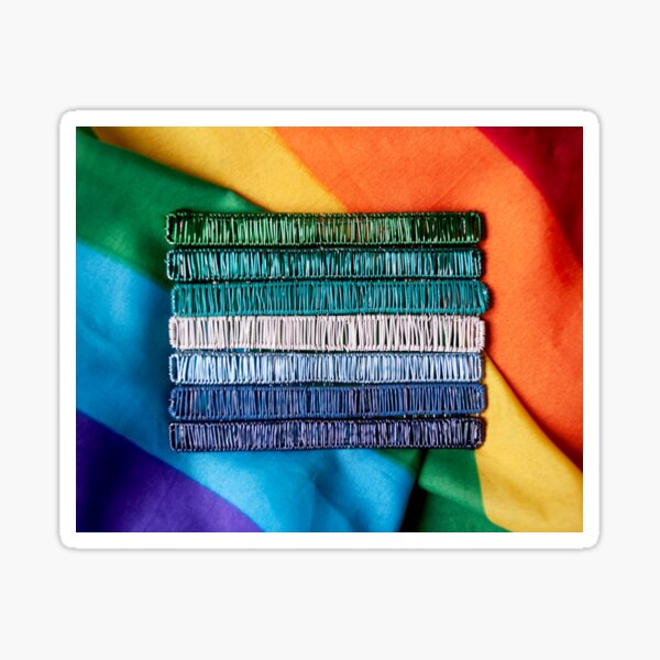 "LGBTQ+ | Gay Flag" Sticker for Sale by paulinavoang | Redbubble