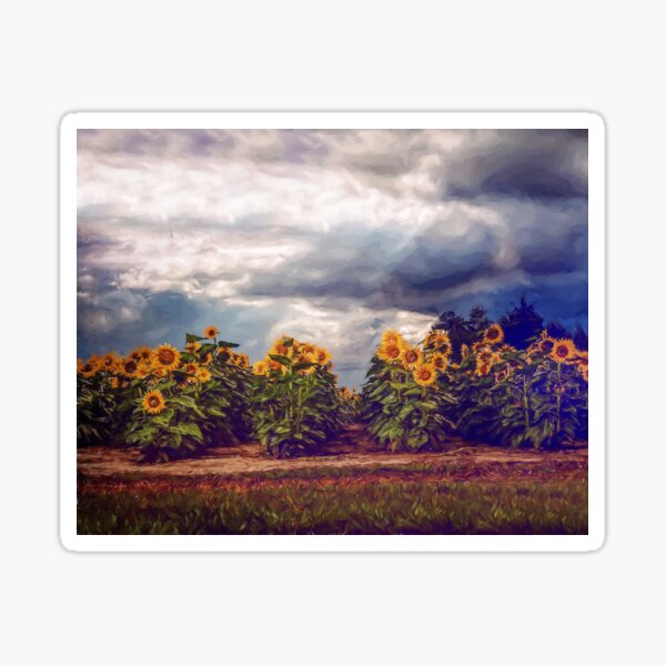 "Sunflower Impression" Sticker for Sale by mbscjohnson | Redbubble