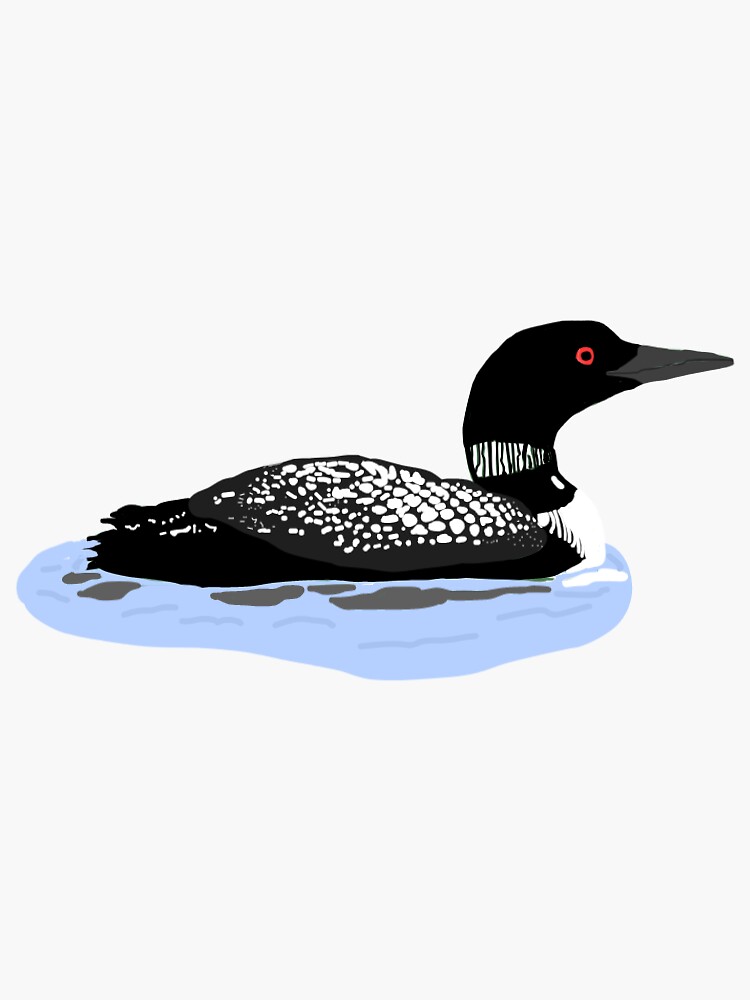 "Common Loon " Sticker for Sale by -moondrop- | Redbubble