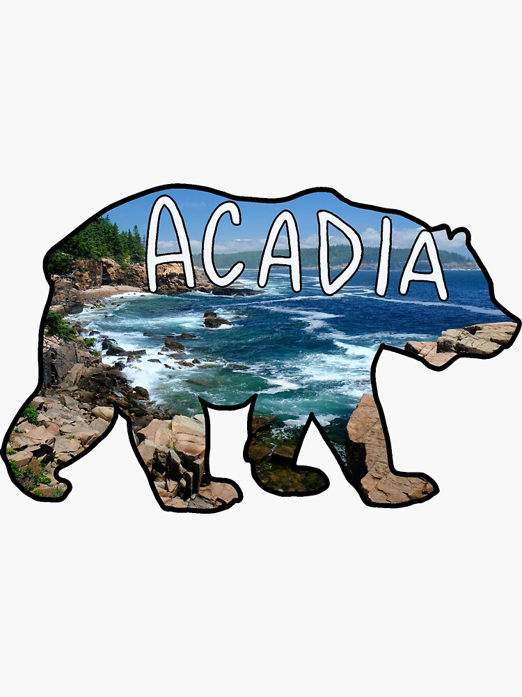 "National Parks Bear Acadia" Sticker for Sale by abbydawes22 | Redbubble