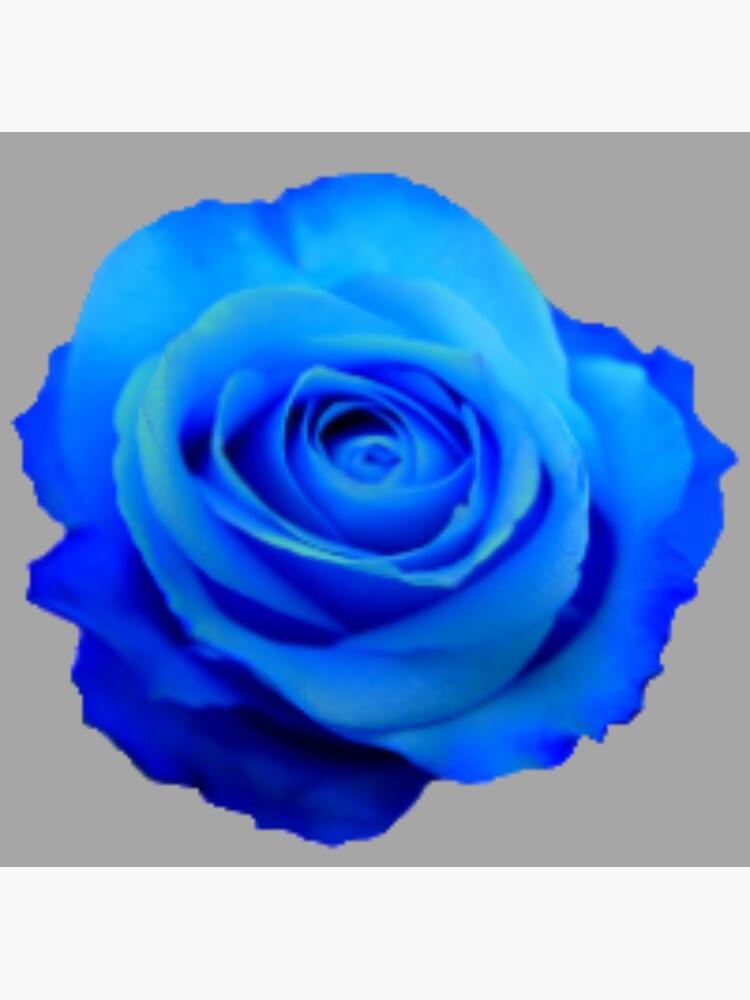 "Blue Rose" Sticker by Kuzcowho | Redbubble