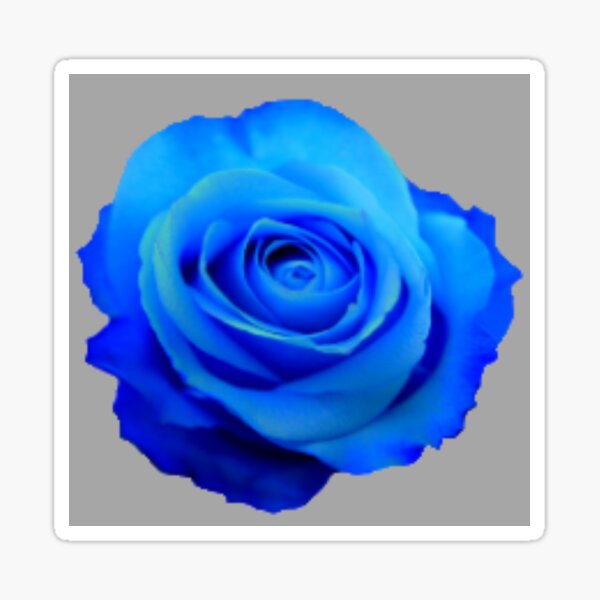 "Blue Rose" Sticker by Kuzcowho | Redbubble