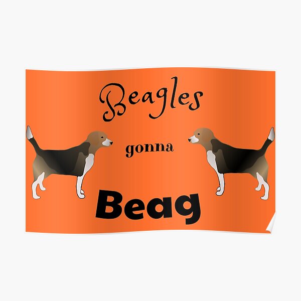 "Beagles Gonna Beag- Funny Beagle Meme Design (on orange)" Poster by ...