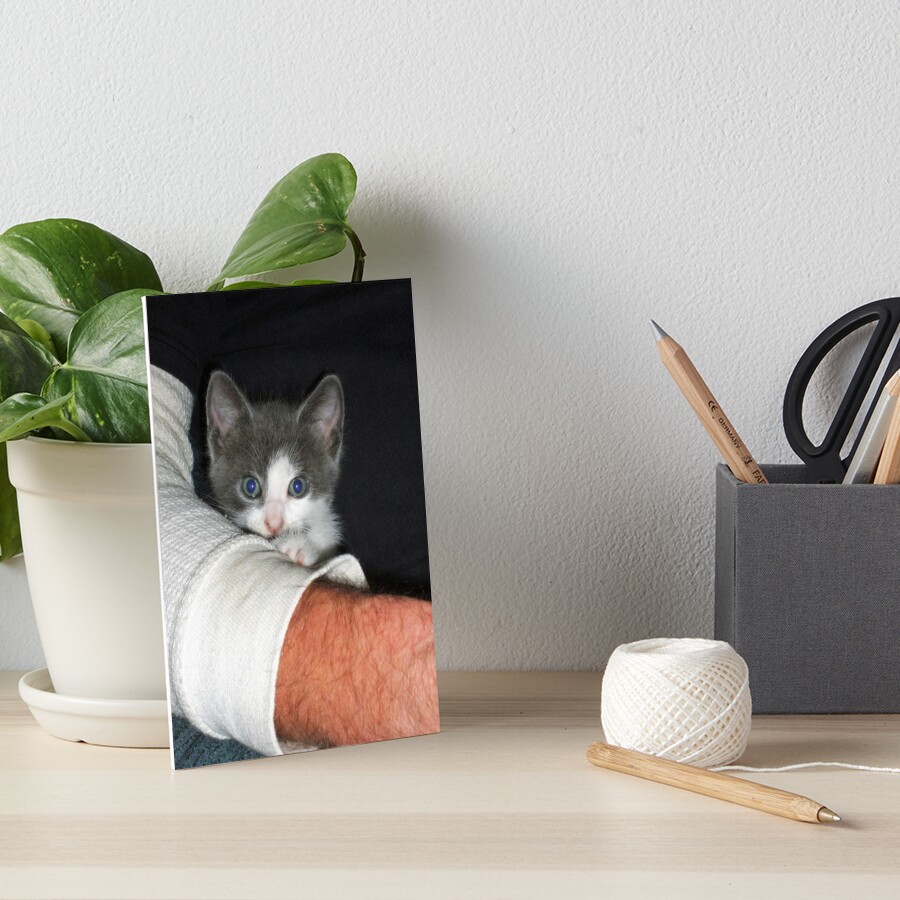 "Sweet Baby Charlie" Art Board Print by FrankieCat | Redbubble