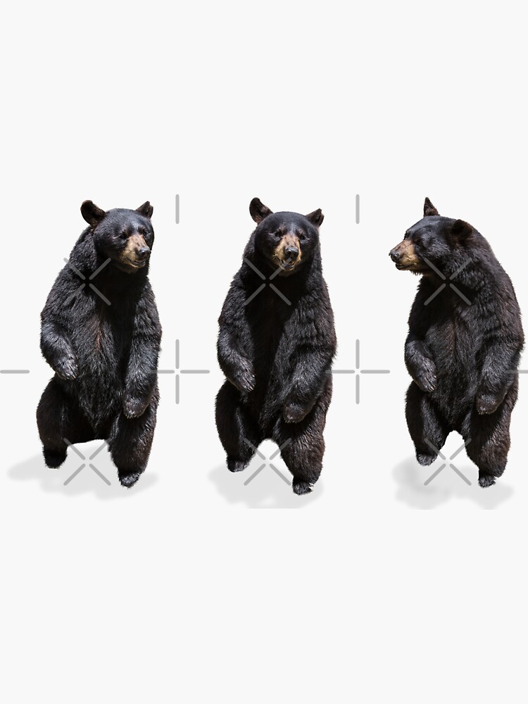 "The Three Bears Together Again" Sticker by JohnHaldane | Redbubble