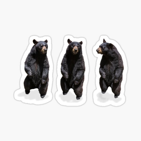 "The Three Bears Together Again" Sticker by JohnHaldane | Redbubble