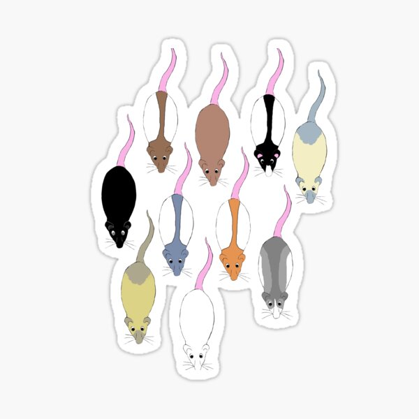"rat pack" Sticker by mindgoop | Redbubble