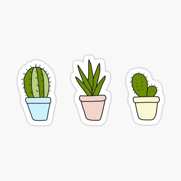 "3 cute potted cacti sticker pack" Sticker for Sale by ivorystickers ...