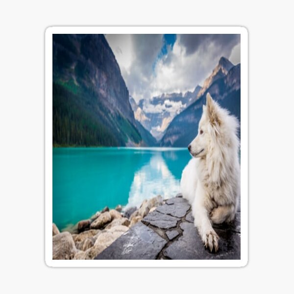"White wolf" Sticker by taveulrangue | Redbubble