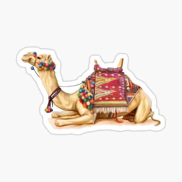 "Camel" Sticker for Sale by Kot-v-kino | Redbubble