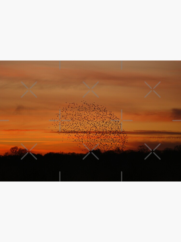 "Murmuration" Art Print for Sale by moominmama | Redbubble