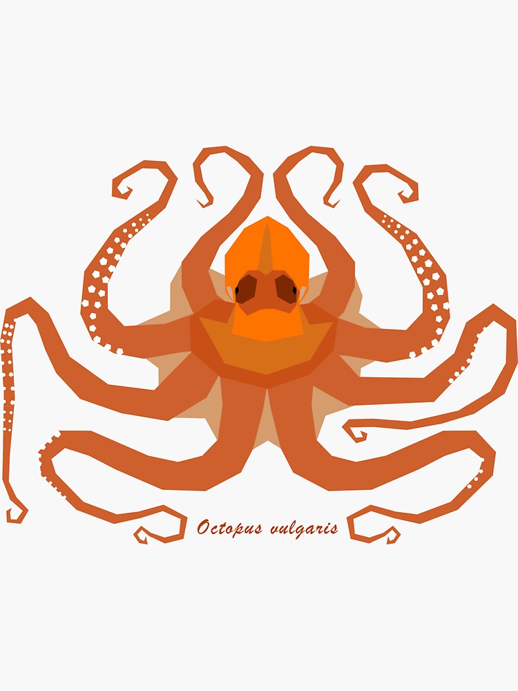 "Common Octopus Geometric Art with Scientific Name" Sticker for Sale by ...